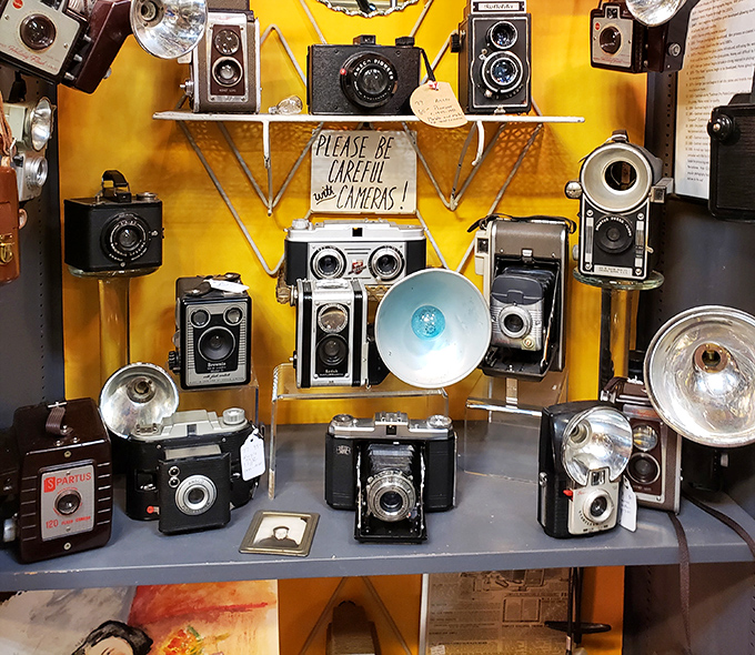 "Please be careful with cameras" indeed! This yellow-backed display is like a family reunion of photography's ancestors, from Kodaks to Brownies.