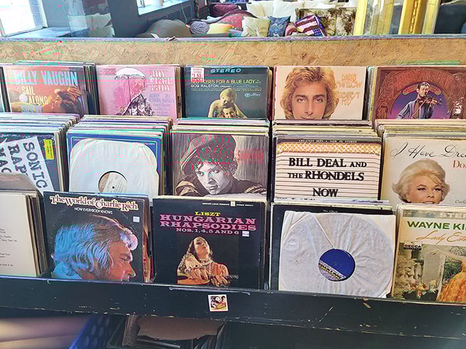 Vinyl treasures that transport you back in time. From Billy Vaughn to Bill Deal, these albums are the original time machines.