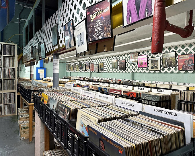 Vinyl heaven for record collectors &ndash; organized chaos where your next musical obsession waits between Sinatra and that one-hit wonder you'd forgotten about.