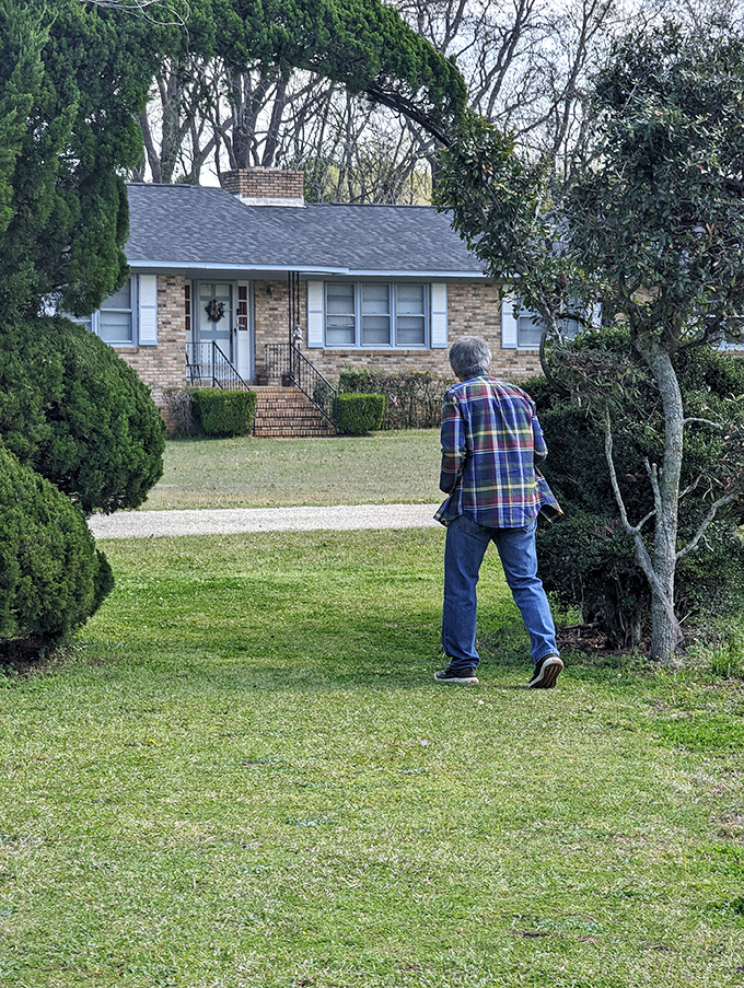 The garden invites quiet contemplation as visitors wander among decades of artistic growth. Each viewing angle reveals new surprises in this three-dimensional green gallery.
