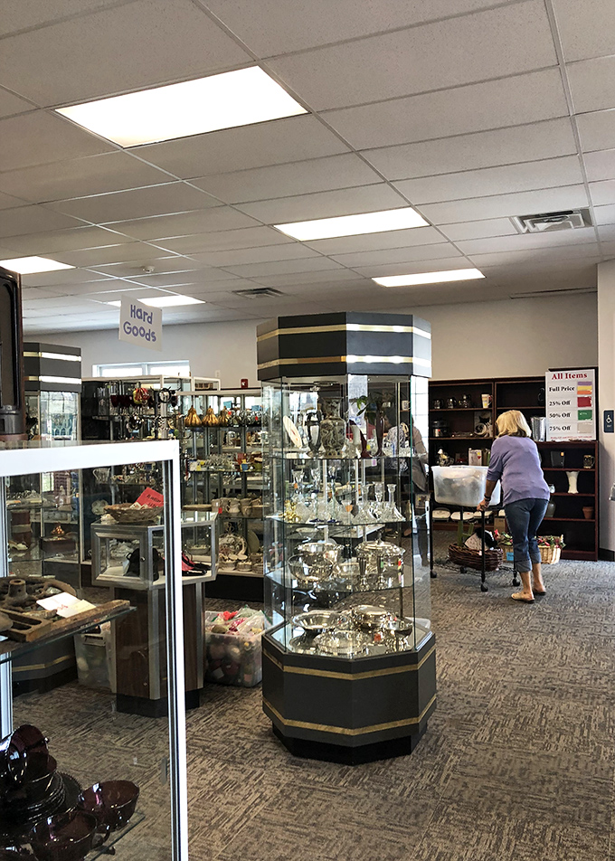 Treasure hunting at its finest! Nova's glassware section gleams with potential heirlooms and conversation pieces waiting to find new homes.