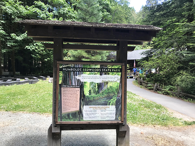 Not all treasure maps are rolled up in bottles. This welcome sign marks the entrance to California's most magnificent living museum.