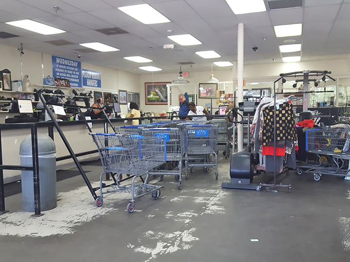 The checkout area&mdash;where dreams meet reality and shopping carts reveal the stories of their collectors.