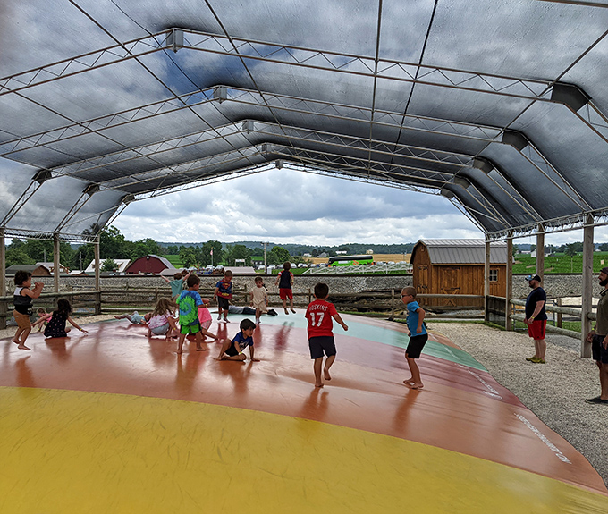 The jumping pillow: where kids bounce with abandon while parents secretly calculate the physics of joining without embarrassing themselves.