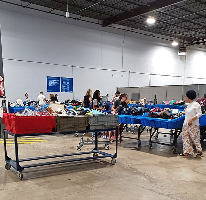 Treasure hunters in their natural habitat. Watch as experienced bin-divers employ techniques refined over countless expeditions.