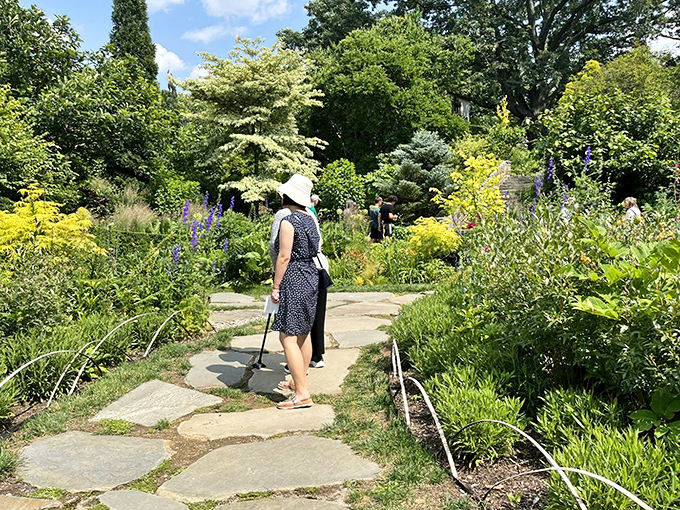 Garden explorers discover hidden corners where even the most dedicated smartphone addicts find themselves putting their devices away.