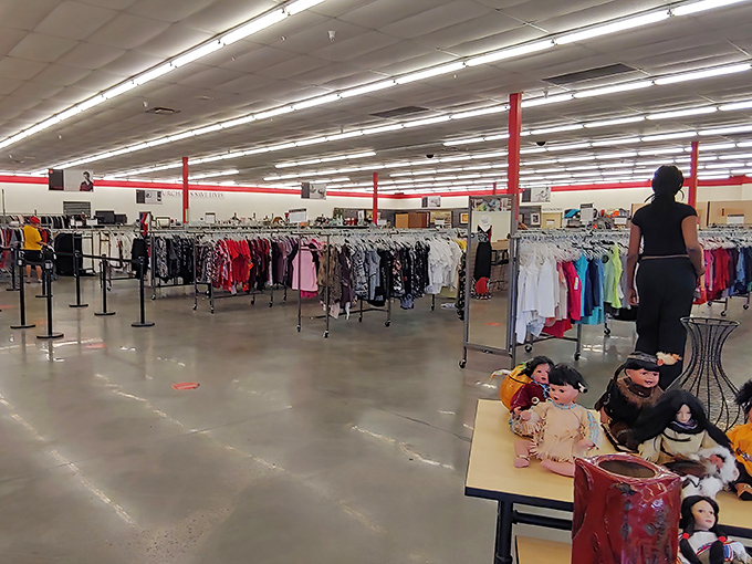 Bright fluorescent lighting illuminates a sea of possibilities, with clearly marked sections that turn treasure hunting from chaos into strategy.