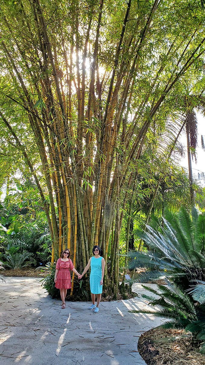 Towering bamboo creates nature's own cathedral, dwarfing visitors and reminding us that sometimes the most impressive architecture isn't human-made at all.