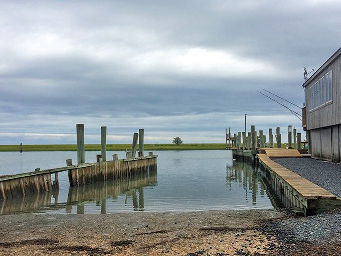 Where wooden pilings tell stories of tides and time. This weathered dock has witnessed countless fishing tales, some of which might actually be true.