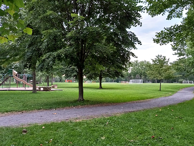 Soccer goals and open fields invite impromptu games where everyone's a champion. No referees required, just pure fun.