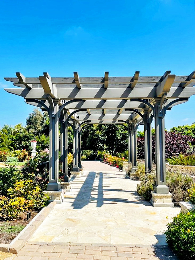 This pergola pathway isn't just a walkway&mdash;it's nature's cathedral, where dappled sunlight creates an ever-changing stained glass effect on the stone below.