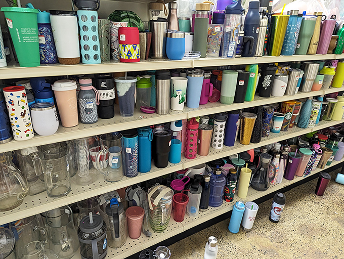 The water bottle section resembles a hydration museum, where every outdoor adventure style from the last decade awaits its next hiking trip.