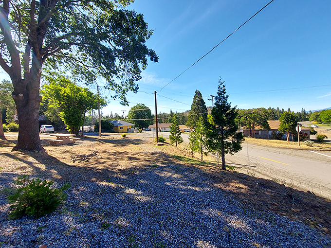 Small-town neighborhoods with big mountain views. In Weed, even the most ordinary street corner comes with an extraordinary backdrop that big-city folks pay millions for.