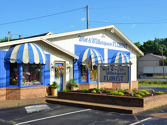 Those blue-and-white striped awnings practically scream "charm" louder than your neighbor's lawn decorations during the holidays.