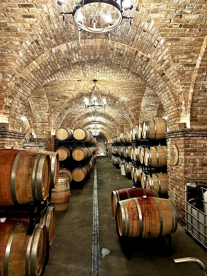 Underground barrel rooms where thousands of gallons age in darkness, like a delicious vampire convention.
