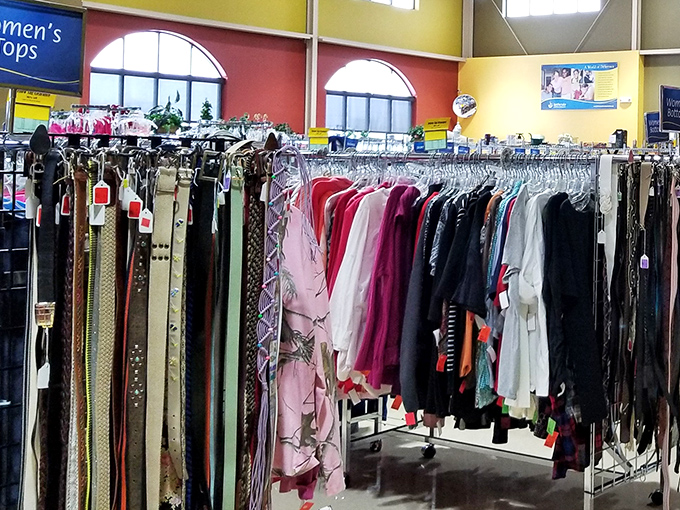 Designer finds hide among everyday treasures, waiting for fashion-savvy shoppers to spot them.