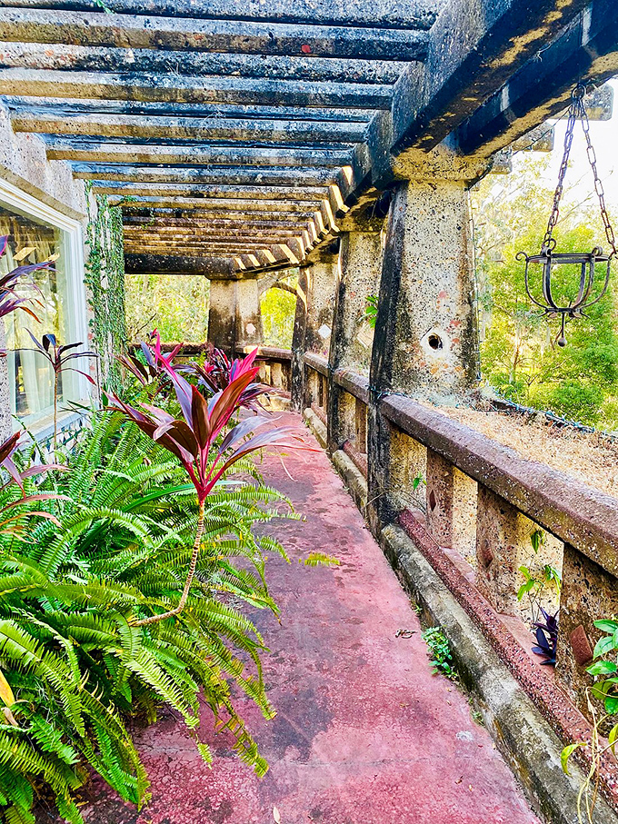 The exterior corridor combines architectural ingenuity with botanical beauty, creating a passageway that bridges the concrete and natural worlds.