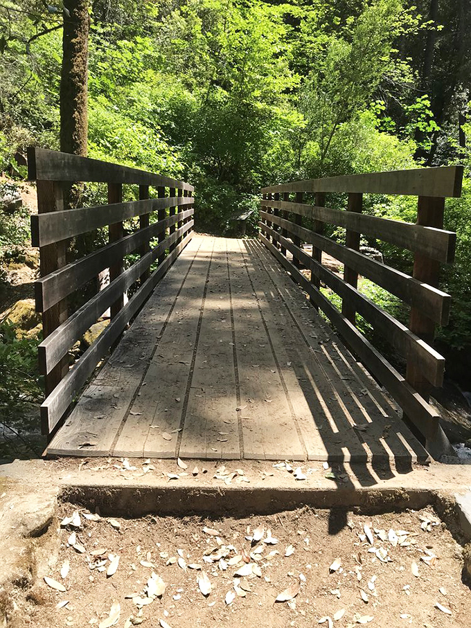 Not all who wander are lost, but this bridge definitely helps keep it that way. A charming wooden crossing on your journey to watery wonders.
