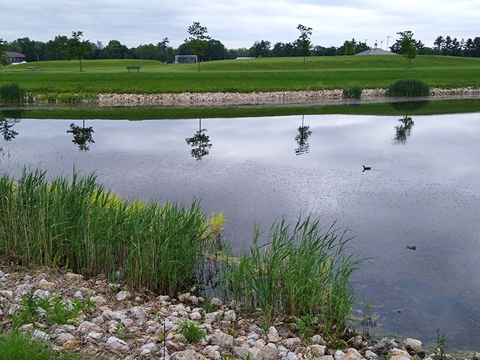 Reflections dance across the water at Zearing Park, where locals have been escaping the hustle since before "hustle culture" was even a thing.
