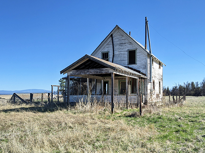 The abandoned farmhouse whispers tales of homesteading dreams, a ghostly reminder of those who once called this wilderness home.