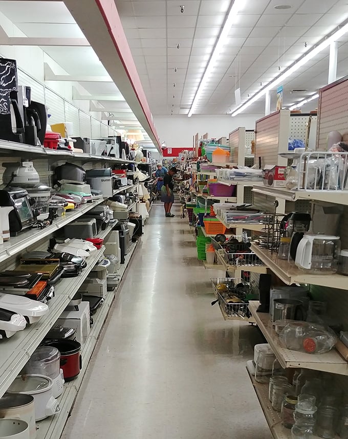 Small appliance heaven stretches as far as the eye can see. Toasters, blenders, and coffee makers&mdash;the kitchen gadget graveyard has become a resurrection ground.