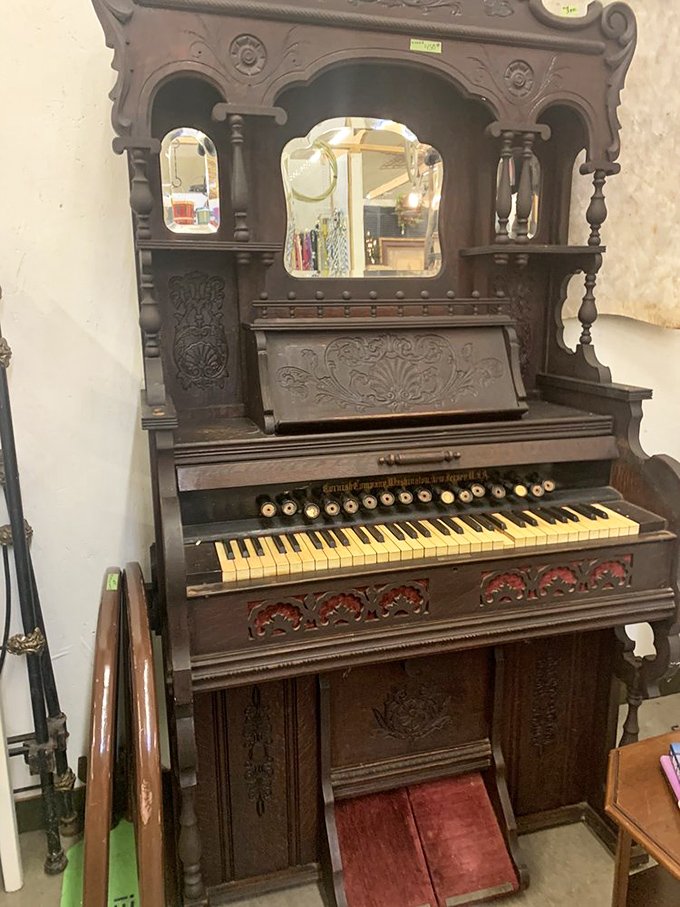 This ornate pump organ isn't just furniture&mdash;it's a time machine. One can almost hear the Victorian parlor songs waiting in those keys.