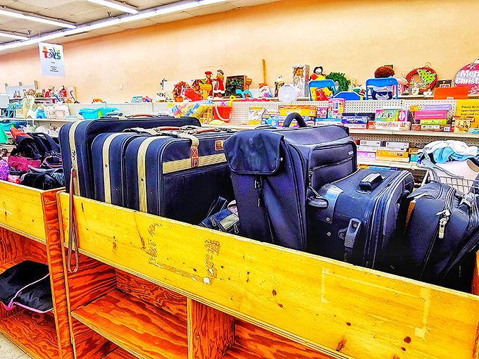 Vintage luggage awaits its next adventure. These sturdy survivors have seen more of the world than most travel influencers.