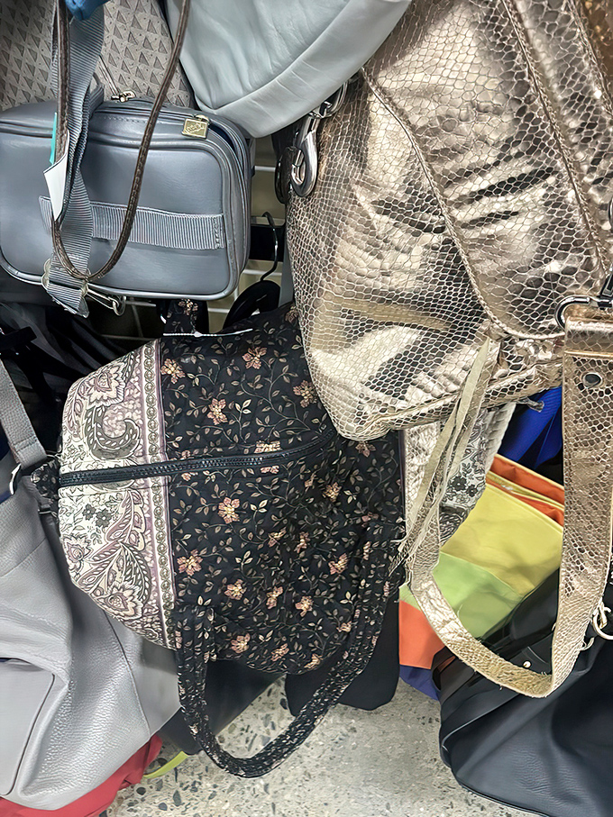 The handbag section &ndash; where that snakeskin purse might have attended Studio 54 in its previous life.