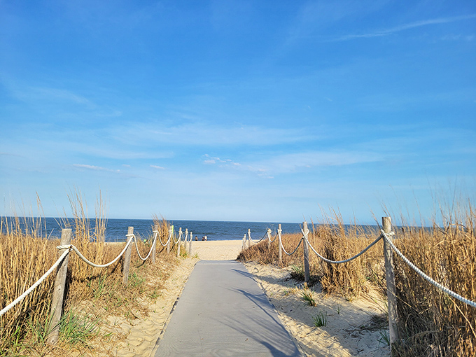 Beach access paths frame the Atlantic like nature's own picture window – no Instagram filter required for this view.