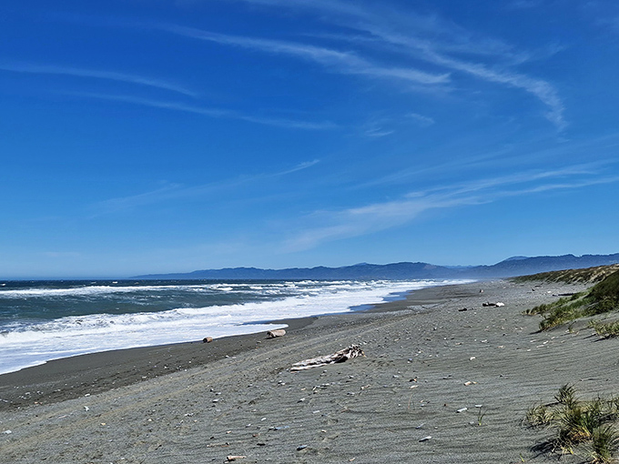 Miles of untouched shoreline where your footprints might be the only human signature. Social distancing as nature intended it.