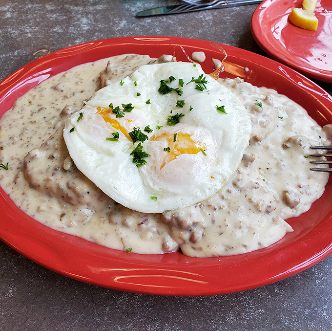 Biscuits and gravy elevated to art form. That perfectly fried egg perched atop creamy sausage gravy is the breakfast equivalent of a warm Alaskan bear hug.