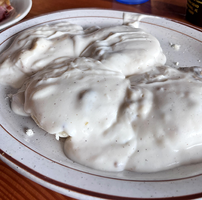 Biscuits and gravy so good they deserve their own ZIP code. That pepper-speckled blanket of comfort is the South Carolina equivalent of a warm hug. 