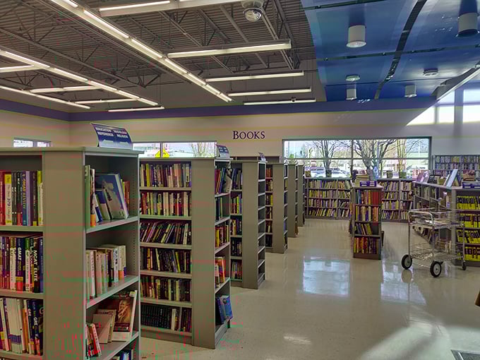 The book section rivals small libraries, offering literary journeys from well-loved paperbacks to hardcover gems that someone else finished but you haven't started. 