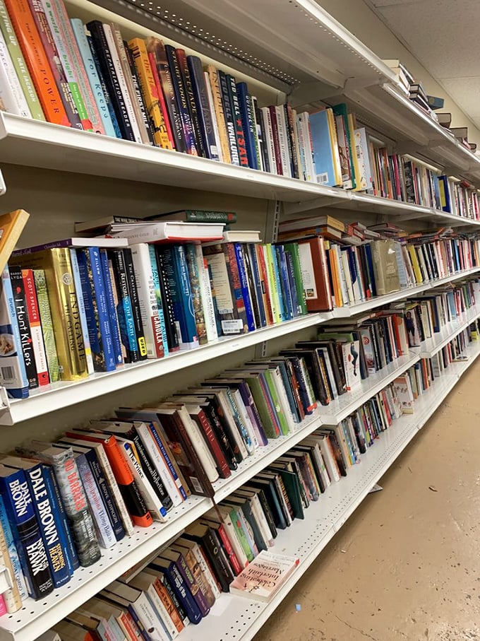 Literary treasures stacked spine-to-spine create a secondhand library where forgotten bestsellers and obscure gems share shelf space democratically.