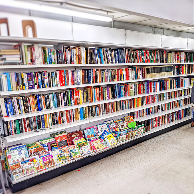 A bibliophile's dream realized: endless shelves where literary classics mingle with forgotten bestsellers, all waiting for their next chapter.
