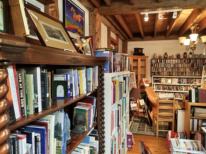 Books line the shelves offering literary adventures, because apparently saving animals and promoting reading go perfectly together. 