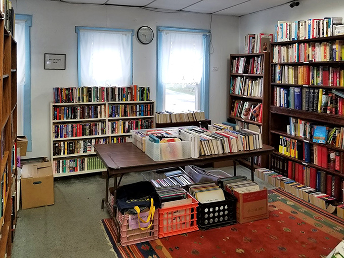 The literary corner: where paperback adventures and hardcover wisdom wait to be rediscovered, one dog-eared page at a time.