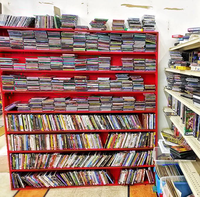 The CD and DVD section&mdash;a time capsule where forgotten albums and movies await their second chance at entertaining your houseguests.
