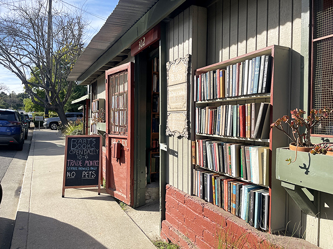 At Bart's Books, literature spills onto the sidewalk in America's largest outdoor bookstore – where stories and sunshine coexist beautifully.