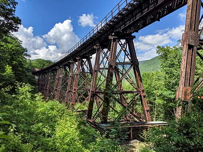 This historic trestle bridge stands as a monument to human ingenuity amid wilderness &ndash; our version of threading a needle through mountains.