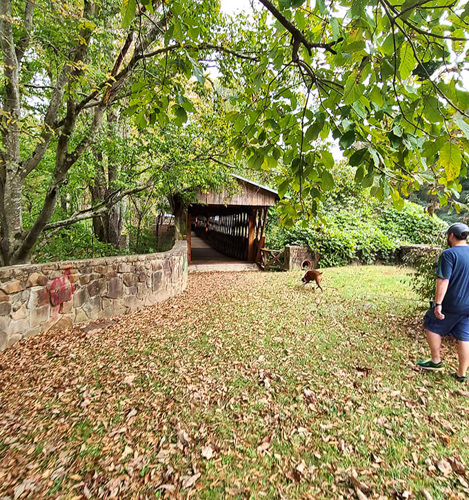 Nature's perfect frame! The approach to the bridge offers that "I should frame this shot" moment that makes amateur photographers feel like Ansel Adams.