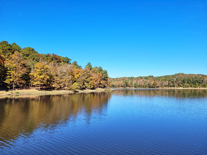 Autumn paints Tishomingo's waters with a palette that would make Bob Ross weep with joy. Golden hour becomes golden season.