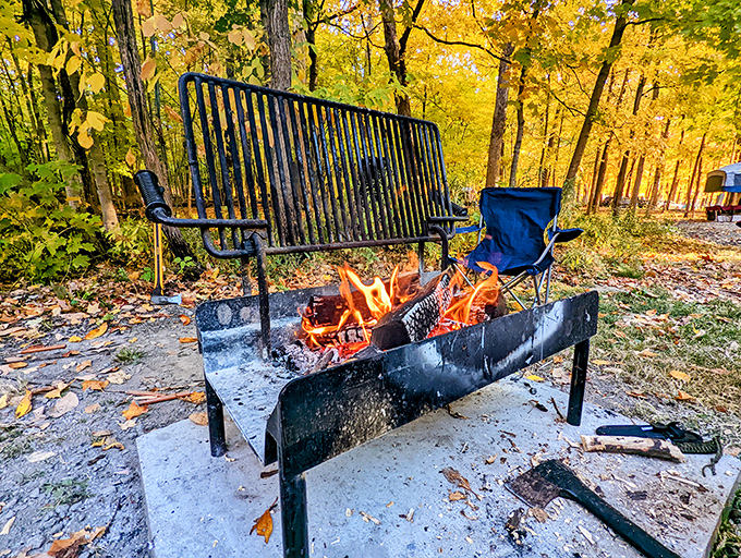 Fall's golden performance turns every trail into a runway where the trees show off their seasonal collection. Fashion week, eat your heart out.