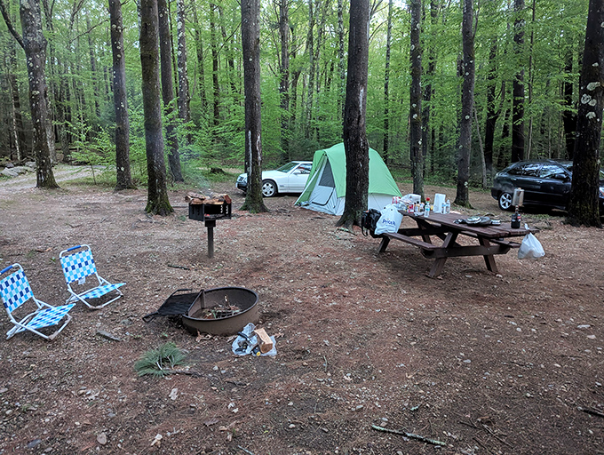 The camping setup here looks more peaceful than most people's actual homes, and that's perfectly okay.