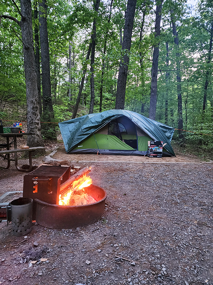 Camping under Pennsylvania's canopy&mdash;where stars replace ceiling fans and campfire stories trump Netflix. The original surround sound experience.