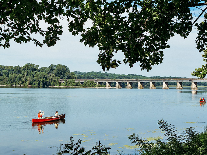 Two adventurers in a red canoe, proving that sometimes the best views of Virginia aren't from hiking trails but from right on the water.