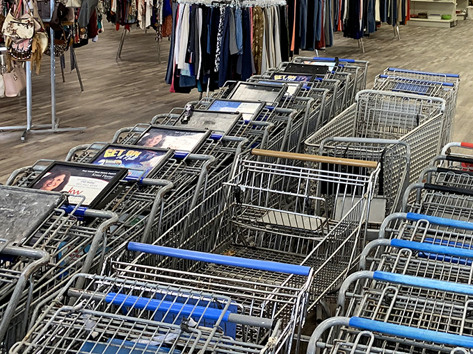 An army of empty shopping carts waits patiently for the day's treasure hunters&mdash;each destined to be filled with unexpected finds.
