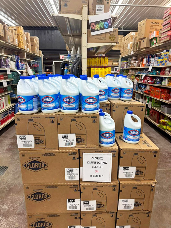 Clorox by the gallon at prices that clean up the competition. The household essentials section is where smart shoppers fill their carts first.