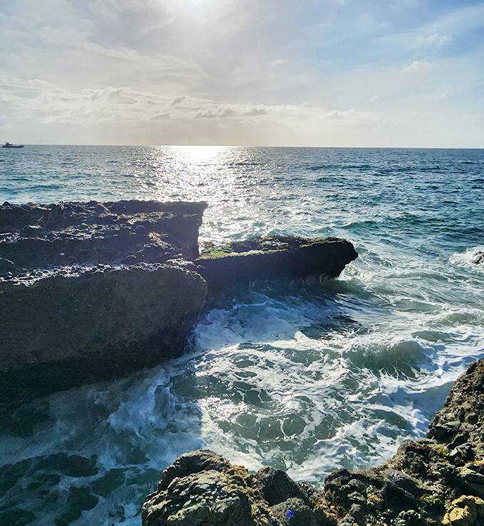 On days when the Pacific shows its gentler side, the sunlight dances across the water like nature's own light show.