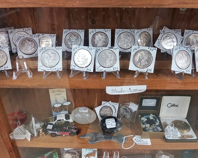 Silver dollars that once jingled in someone's pocket now rest in quiet dignity. Each coin tells a story of commerce, collection, and care.